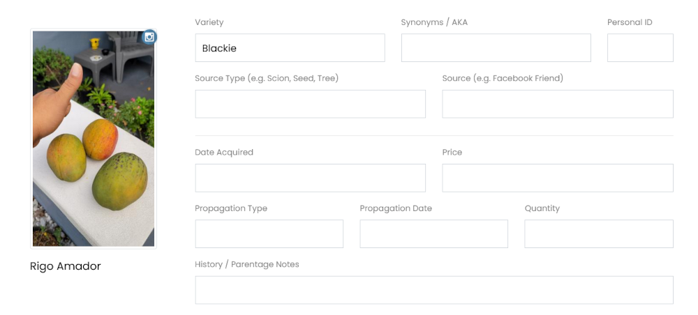Your Personal Mango Collection: Customizing Your Catalog